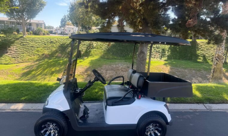 EZGO RXV 2 Passenger Maintenance Cart with Cargo Box | Laguna Golf Carts